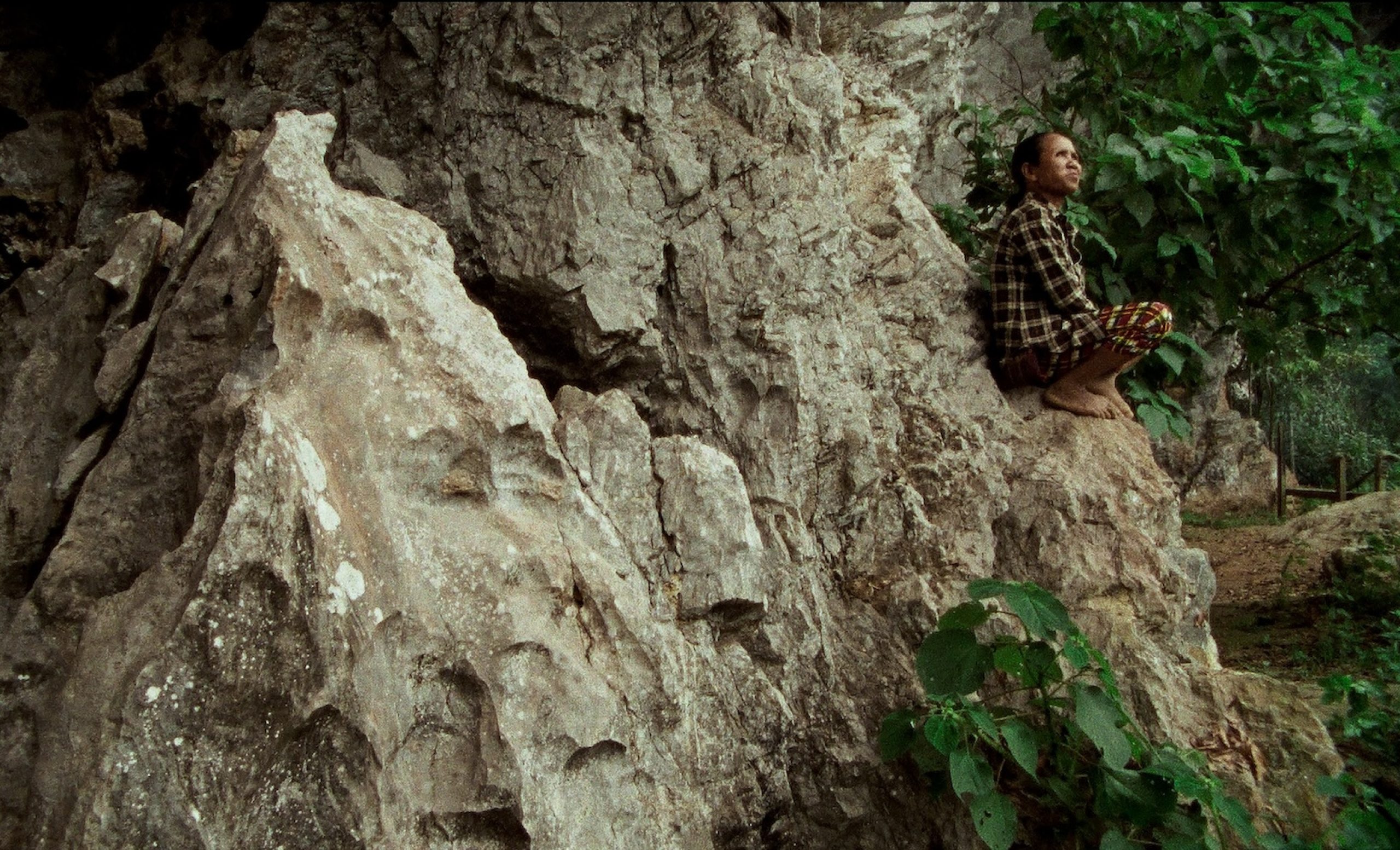 Earthly Visions: The Tree House | UCLA Film & Television Archive