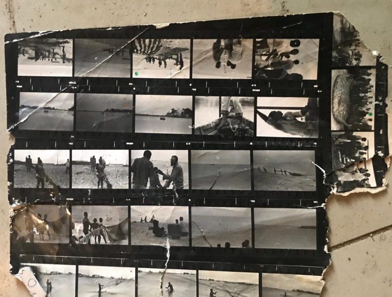 Saving Cultural Heritage—Meet MEAP's Largest Ever Cohort | Modern Endangered Archives Program