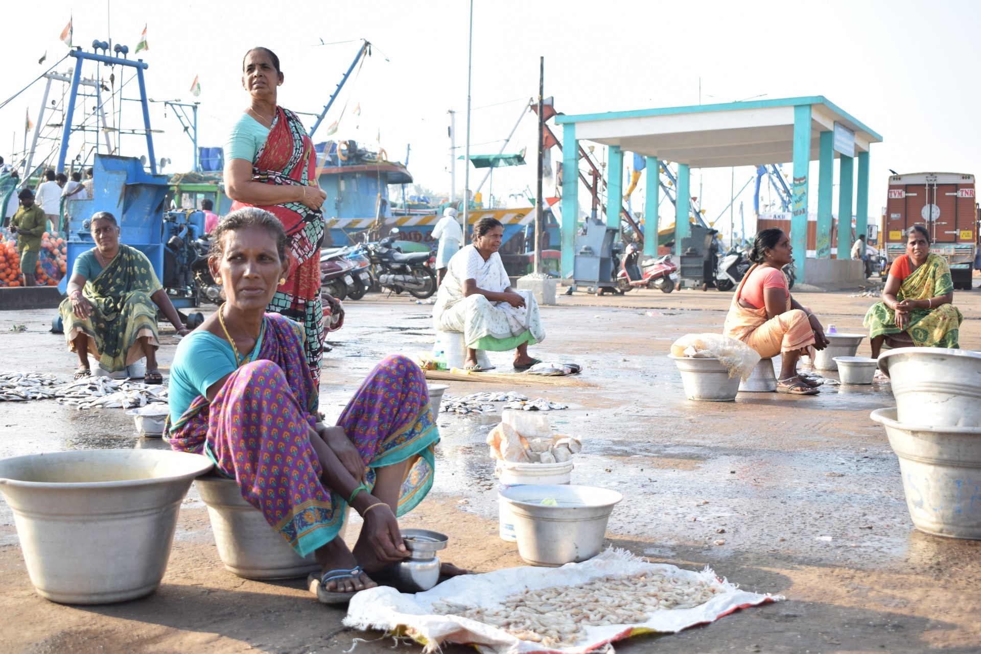 Modern Endangered Archives Program