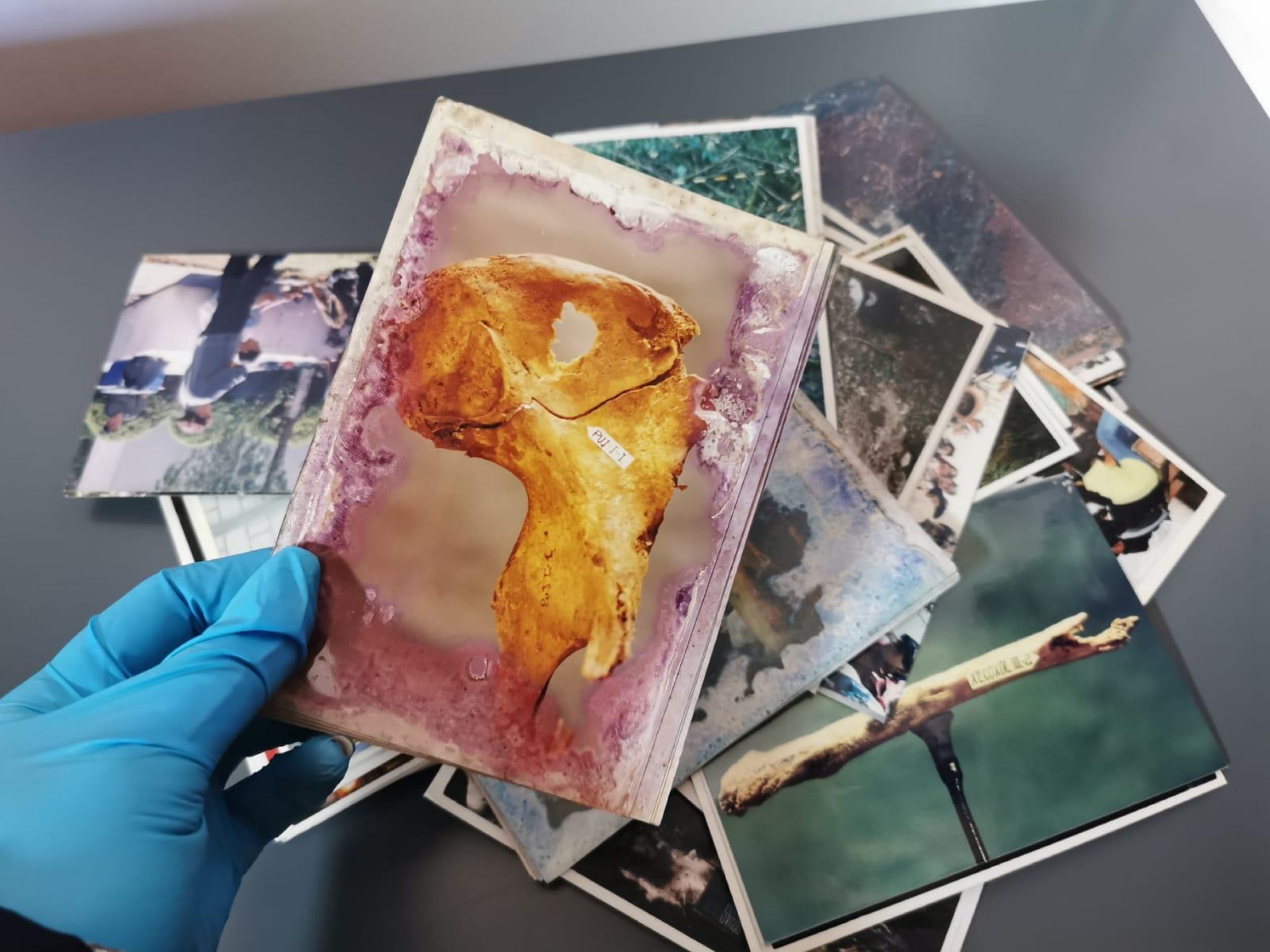 Archives for Justice and Peace: The Project for the Recovery of ...