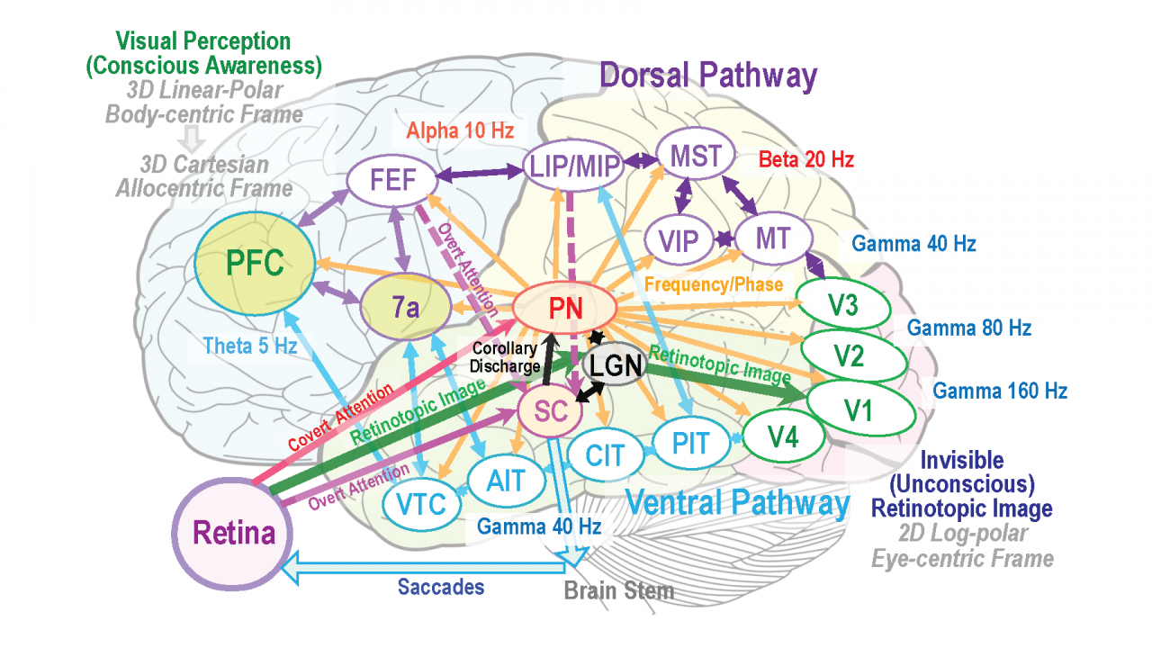 Marschak Colloquium | UCLA Library