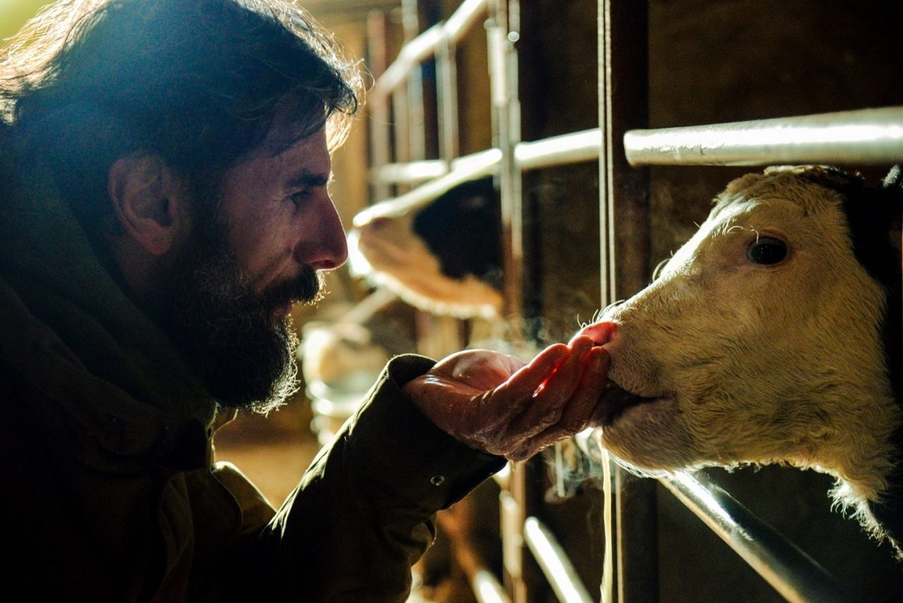 The Last Snow | UCLA Library