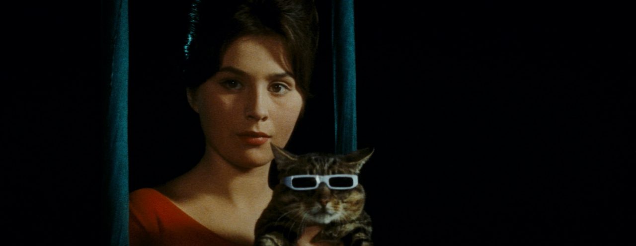 Bell Book and Candle / The Cassandra Cat | UCLA Library