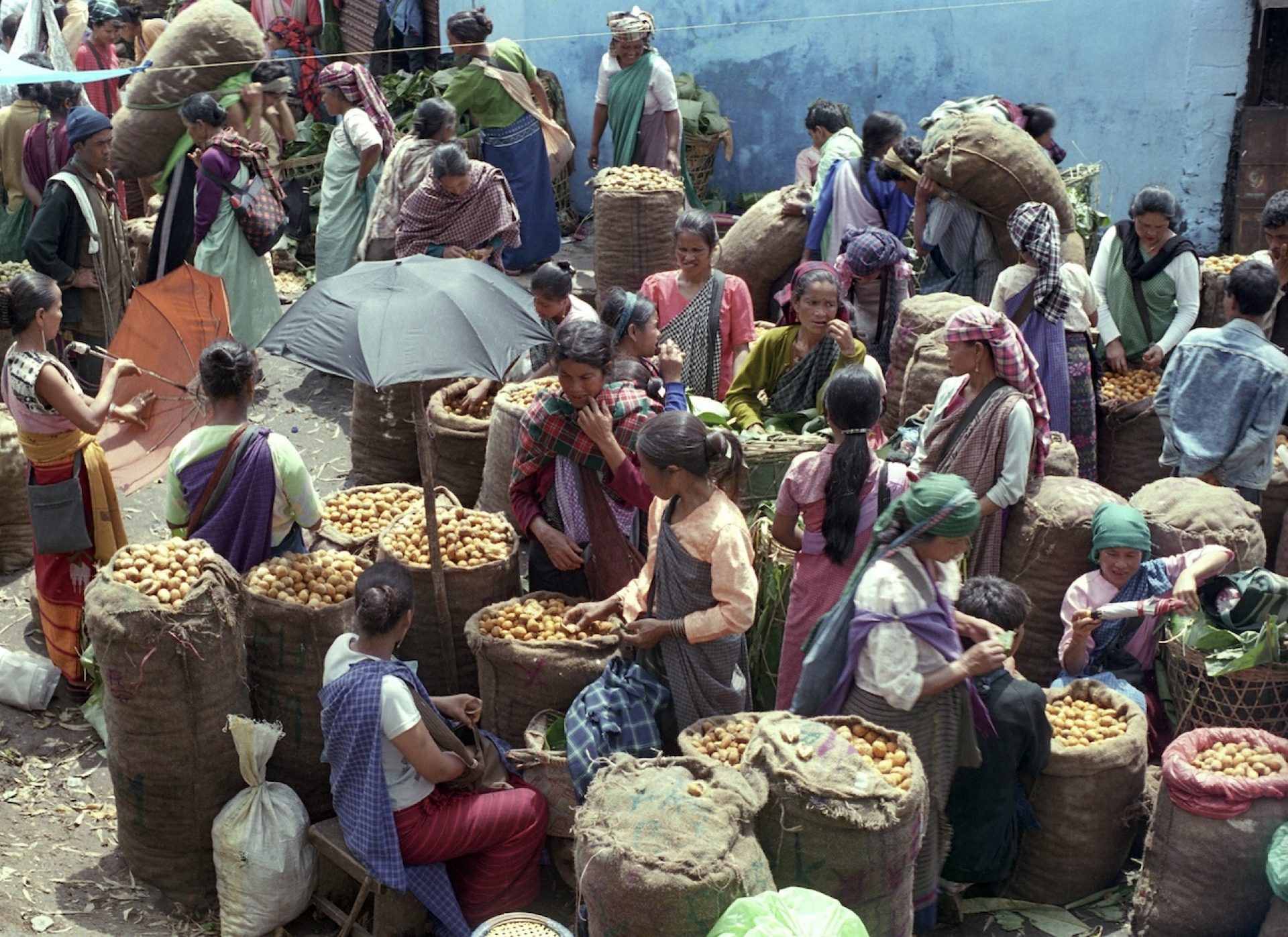 UCLA Library program announces new projects to digitize and document ...