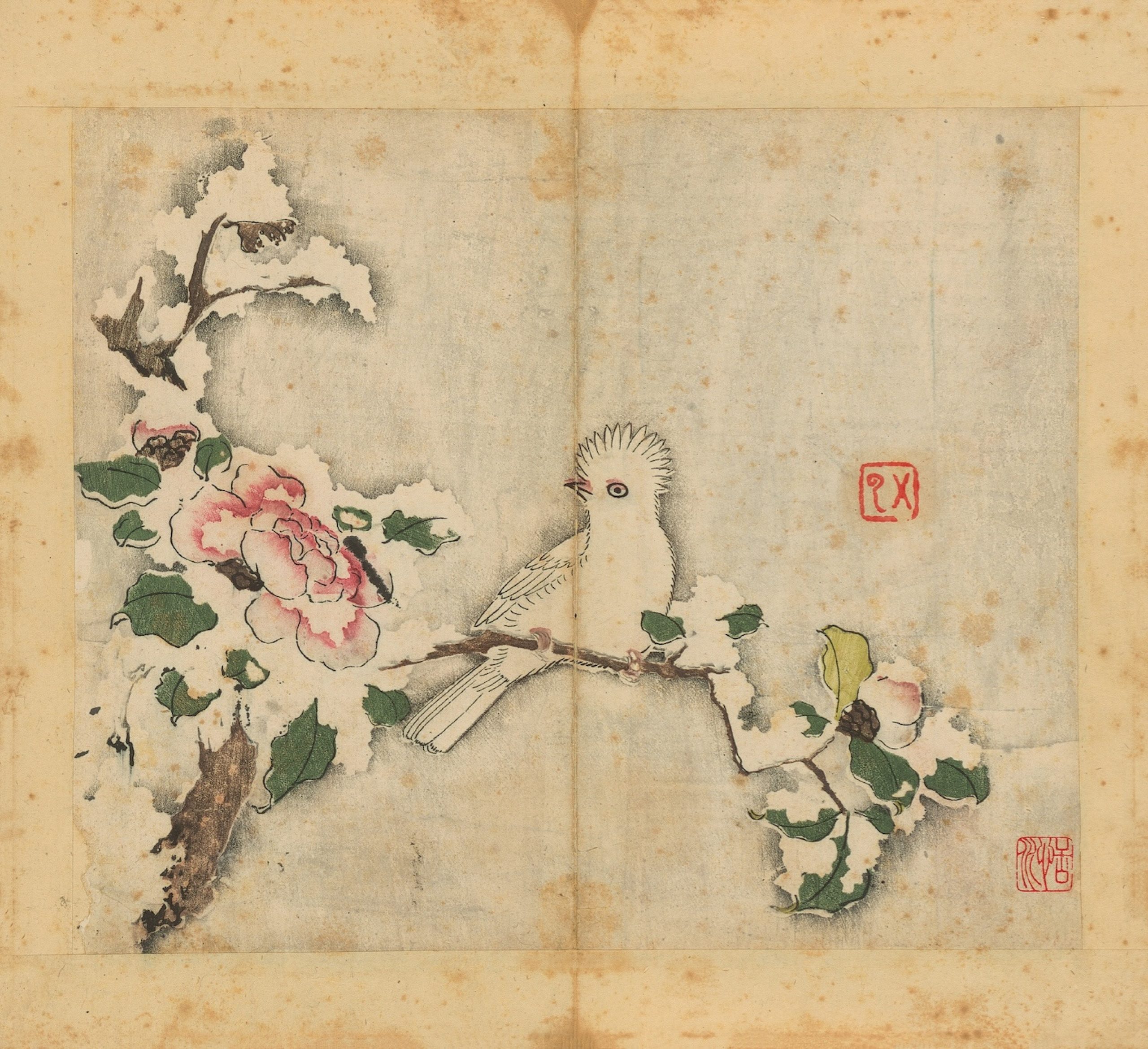 Distribution and Characteristics of Rare Ming Dynasty Books in North ...