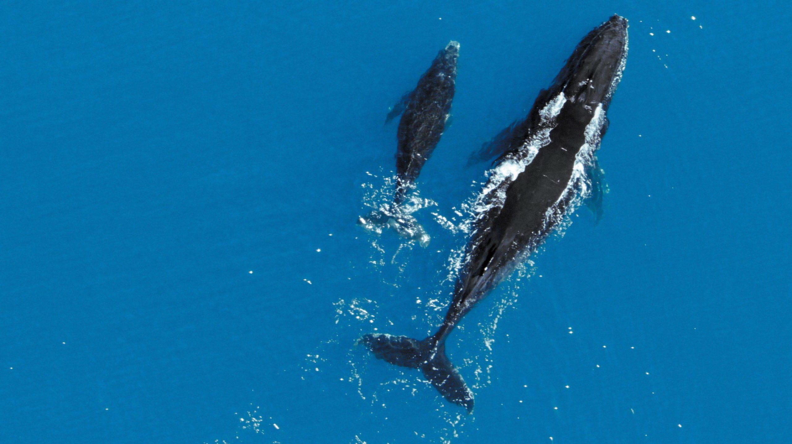 Earth | UCLA Library